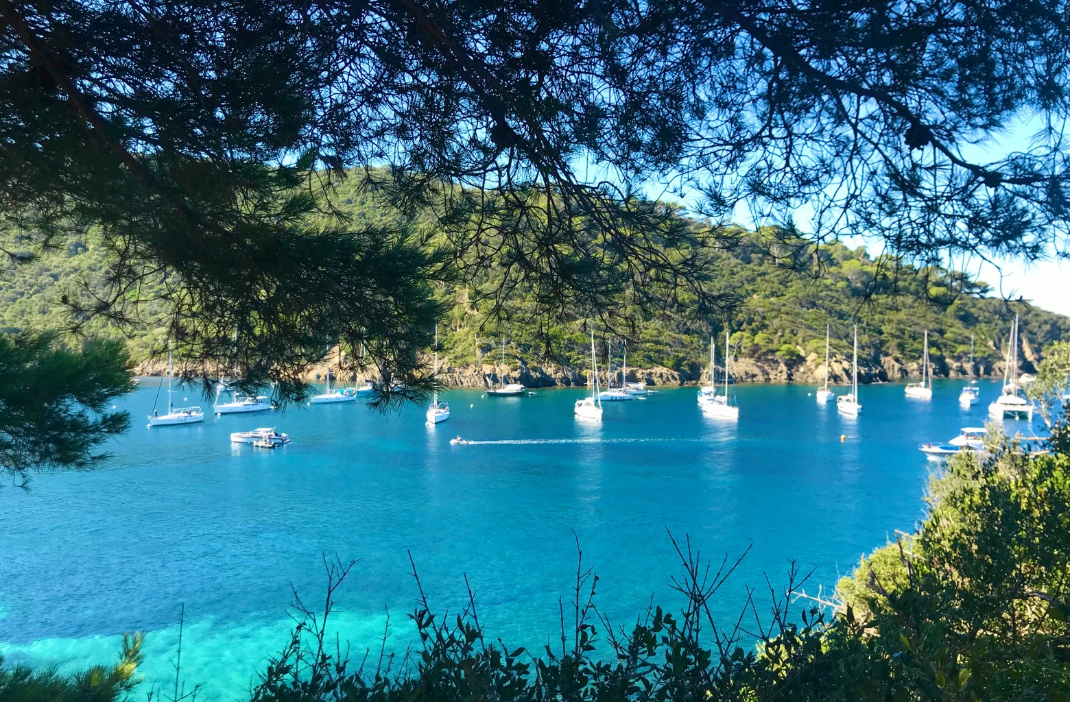 Découvrir l’île de Port-Cros – Des idées d'ici et là – Blog voyage