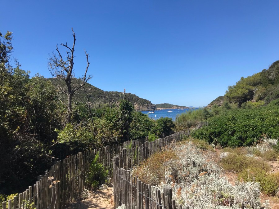 Découvrir l’île de Port-Cros – Des idées d'ici et là – Blog voyage